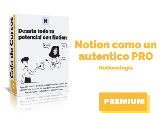 Curso Notion Como un Auténtico Pro – Notionología | Descargar Curso ...